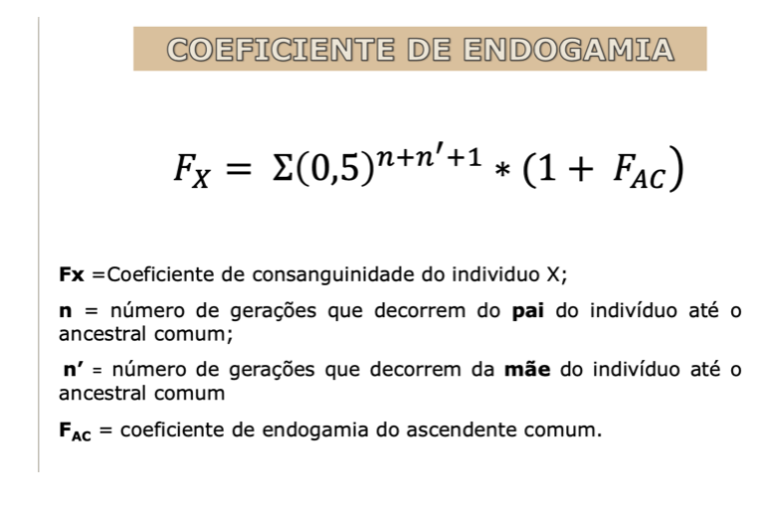 VETDOCS | Endogamia ou Consanguinidade